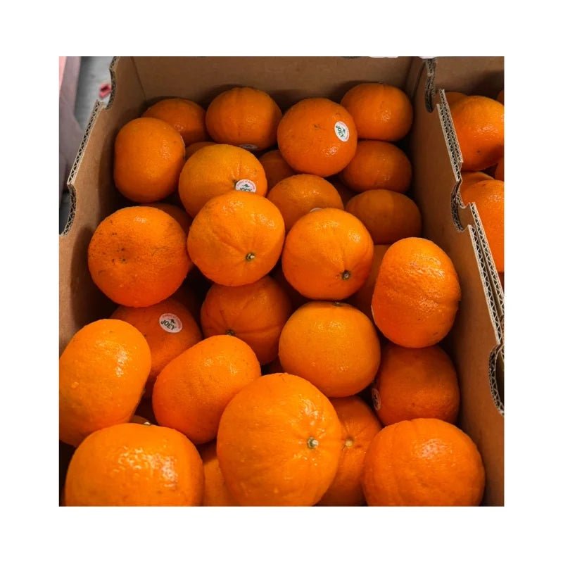Australian Oranges Per Box | Fresh Imported Fruit – Bangkok FreshLink