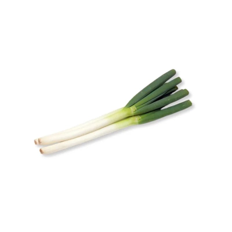 Japanese Spring Onion (Long) 500g | Fresh and Flavorful – Bangkok FreshLink