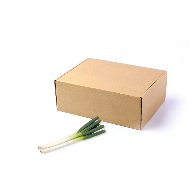 Japanese Spring Onion (Long) 5kg | Long Spring Onions for Professional ...