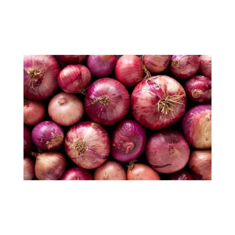 Red Onions (Indian) 10kg | Bulk Onions for Daily Kitchen Operations ...