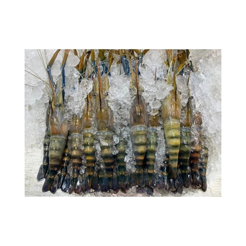River Prawn Size 5–6 Pieces/kg Per kg | Quality River Prawns for ...