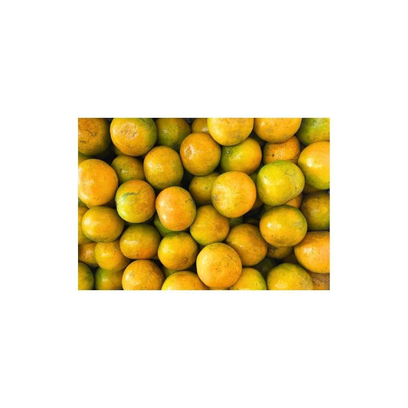 Sai Nam Phueng Orange (Size 6) 5kg | Juicy Oranges for Foodservice Use ...