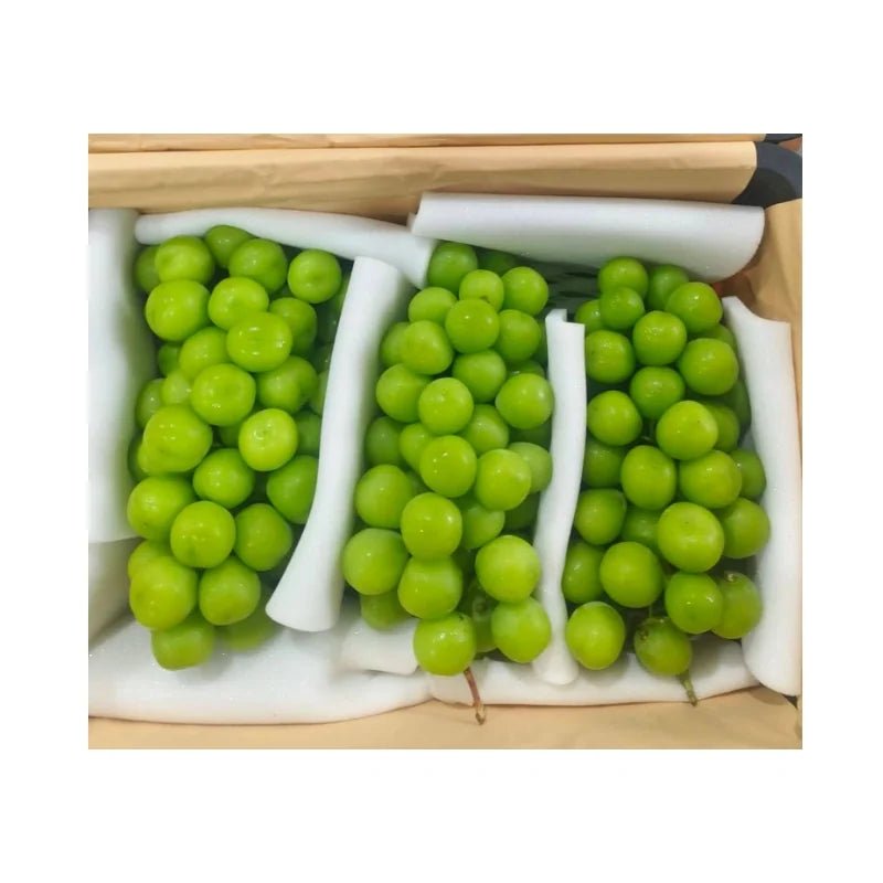 Shine Muscat Grapes Per Box | Premium Seedless Grapes for Wholesale ...